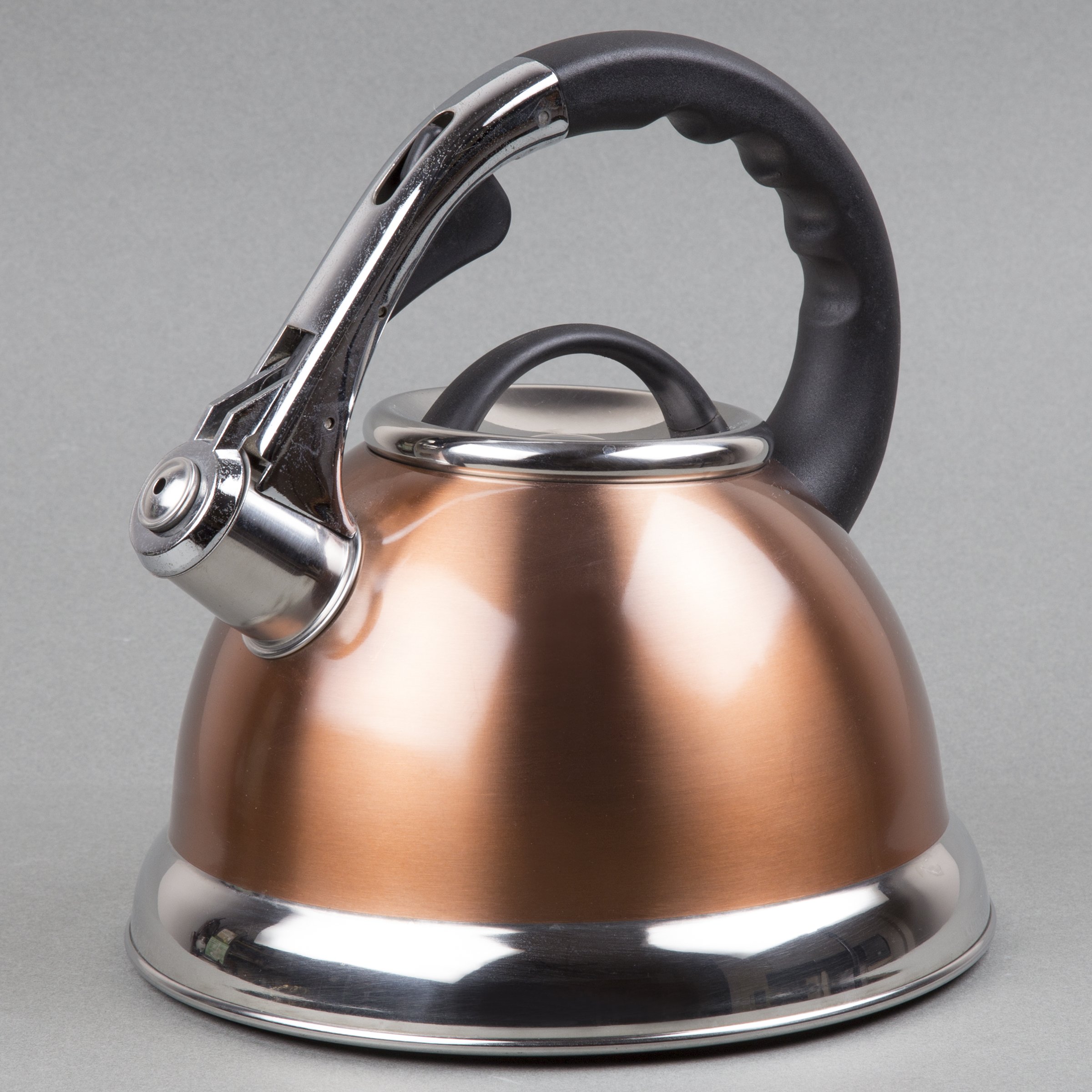 Camille 3.0 Quart Stainless Steel Whistling Tea Kettle