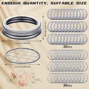 30 Pieces Mason Flower Jar Lid Mason Jar Lids with Straw Hole Stainless Steel Flower Insert Lid Insert Mason Grid Organizer Lid Decorative Flower Organizer Lid for Regular Mouth