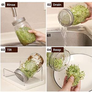 Sprouting Kit-2 Wide Mouth Quart Mason Jars with 304 Stainless Steel Screen Sprout Lids,Melamine Tray,Stand and Canning Brush,Sprouting jar Kit For Growing Mung beans,Broccoli And So On