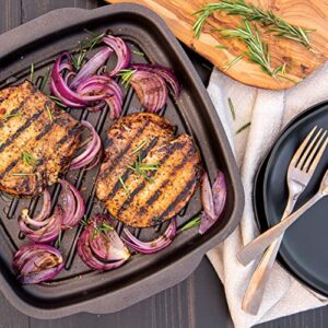 Nordic Ware 365 Indoor/Outdoor Texas Searing Griddle