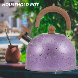 Hemoton Stovetop Tea Kettle Stainless Steel Whistling Teapot Water Kettle Stove Coffee Kettle with Cool Grip Ergonomic Handle for Boiling Water 2L Purple