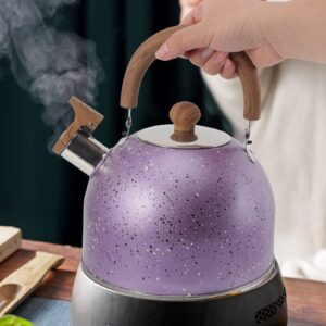 Hemoton Stovetop Tea Kettle Stainless Steel Whistling Teapot Water Kettle Stove Coffee Kettle with Cool Grip Ergonomic Handle for Boiling Water 2L Purple