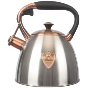 tea kettle -2.9 quart tea kettles stovetop whistling teapot stainless steel tea pots for stove top whistle tea pot