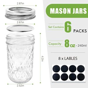 SRNRUS Mason jars 8oz, 6 Pack Regular Mouth Canning Jars Overnight Oats Containers with Split Aluminum Lids and Bands Idea for Honey, Jam, Shower Favors, Wedding Favors (8 ounce - 6pack)