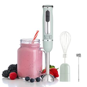 rae dunn immersion hand blender- handheld immersion blender with egg whisk and milk frother attachments, 2 speed blender, 500 watts, stainless steel blade (sage)