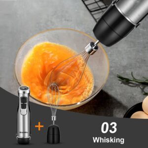 Immersion Multi-Purpose Hand Blender Heavy Duty Copper Motor Stainless Steel Finish Includes Whisk Attachment, Chopper and Smoothies Cup