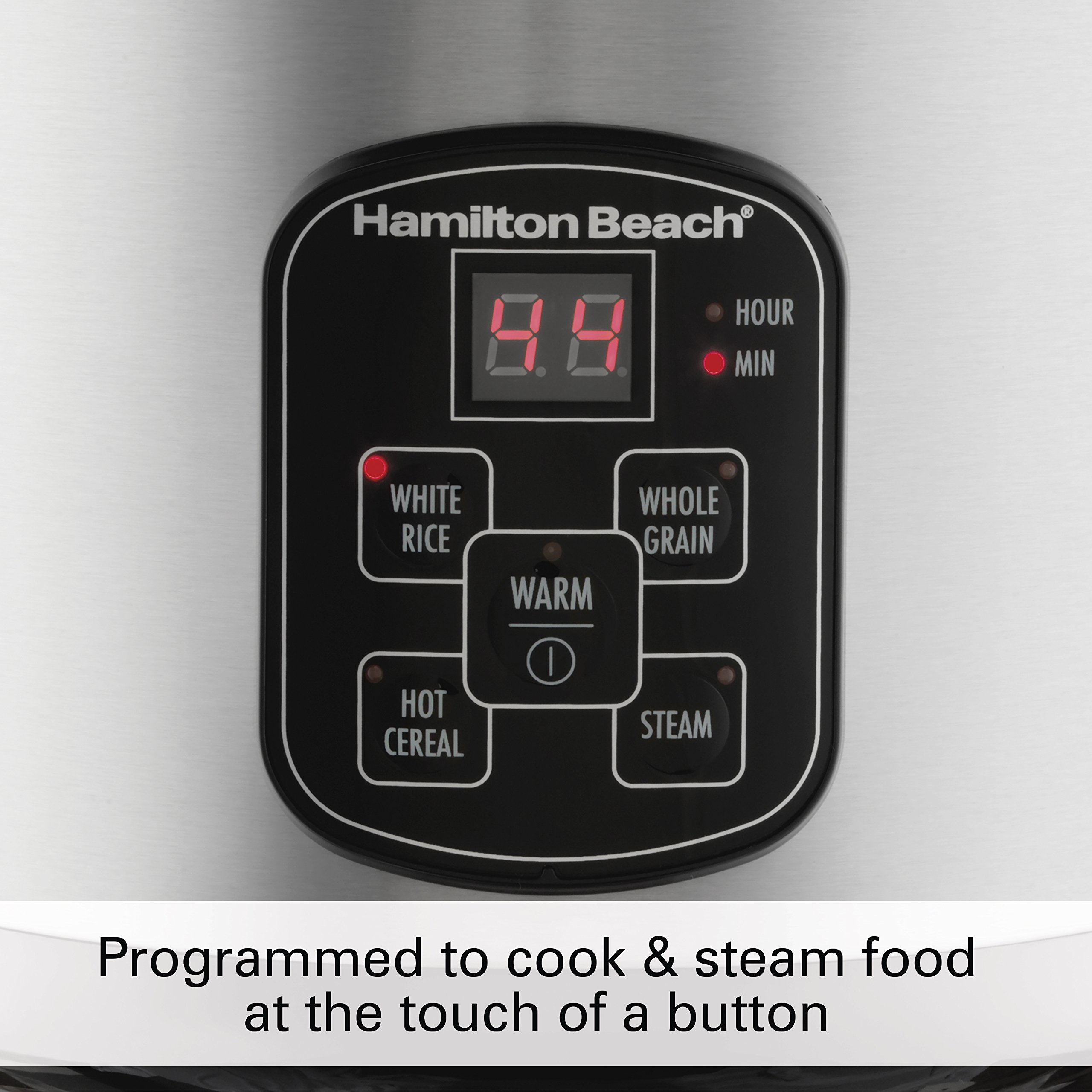 Hamilton Beach Digital Programmable Rice Cooker & Food Steamer (37518) and Hamilton Beach Wave Action Blender (58148A)