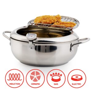 Deep Fryer Pot (°F),Stylish Tempura Fryer,Small Japanese Style 3.4L Stainless Steel Deep Frying Pot With Lid & Oil Drip Drainer Rack and Detachable Fahrenheit Temperature Control,Size: 9.8 Inches