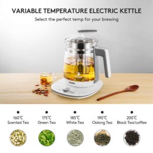 ICOOKPOT Programmable Electric Glass Kettle - 2 Liter Stainless Steel Tea Maker and Yogurt Maker with Tea Infuser, Egg Cooker and Temperature Control, WHITE