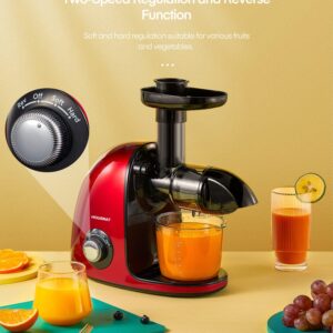 Juicer Machines Vegetable and Fruit, HOUSNAT Cold Press Juicer Extractor with 2-Speed Modes Easy to Clean, Slow Masticating Juicer with Quiet Motor, Reverse Function, Recipes (Passion Red)