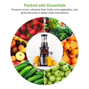 Ventray Slow Press Masticating Juicer Machine, Electric Whole Slow Cold Press Juice Extractor Maker for Citrus Orange Fruit Vegetable Compact Small Space Saving Easy to Clean BPA Free