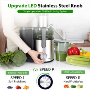 1000W 3-SPEED LED Centrifugal Juicer Machines Vegetable and Fruit, Healnitor Juice Extractor with 3.5" Big Wide Chute, Easy Clean, BPA-Free, High Juice Yield, Silver