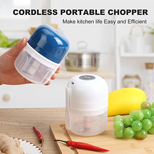 Electric Garlic Chopper Mini,250ML Wireless USB Rechargeable Portable Food Processor,Garlic Grinder Masher with Spoon for Chopping Onion,Ginger,Chili,Meat,Fruit,Vegetables(Blue)