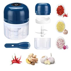 Electric Garlic Chopper Mini,250ML Wireless USB Rechargeable Portable Food Processor,Garlic Grinder Masher with Spoon for Chopping Onion,Ginger,Chili,Meat,Fruit,Vegetables(Blue)