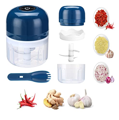 Electric Garlic Chopper Mini,250ML Wireless USB Rechargeable Portable Food Processor,Garlic Grinder Masher with Spoon for Chopping Onion,Ginger,Chili,Meat,Fruit,Vegetables(Blue)