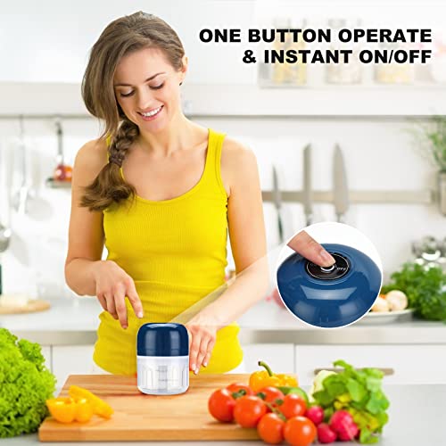 Electric Garlic Chopper Mini,250ML Wireless USB Rechargeable Portable Food Processor,Garlic Grinder Masher with Spoon for Chopping Onion,Ginger,Chili,Meat,Fruit,Vegetables(Blue)