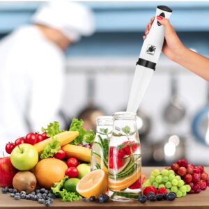 J-Jati Hand-Blender Stick Hand Immersion Blender 300 Watt 2 Touch-Speed