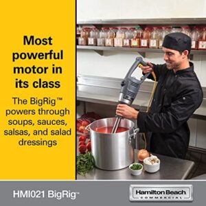 Hamilton Beach Commercial BigRig™ Immersion Blender - HMI021