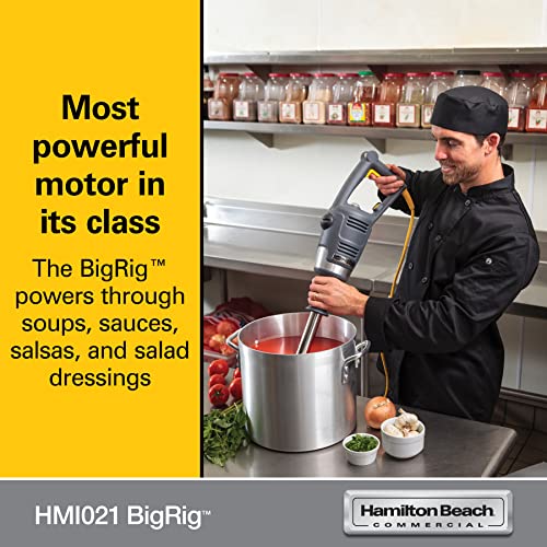 Hamilton Beach Commercial BigRig™ Immersion Blender - HMI021