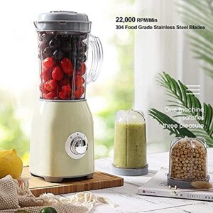 Water cup Electric juicer Multifunctional Blender Blender With Food Processor Spice Grinder And Ice Crusher 2 Speed U200BU200Bsettings And One Pulse Free 3 Titanium Alloy Ice/Nu ZJ666