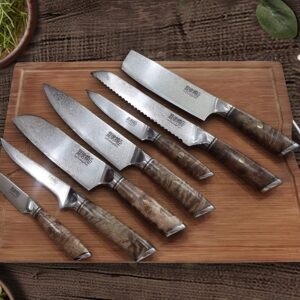 Kitchen Damascus Knife Set Japanese VG-10 Steel Knives Block Set Shadow Wood Handle for Chef Knife Set High Carbon Core Stainless Steel Full Tang Kitchen Knife Set with Block (8 Piece)