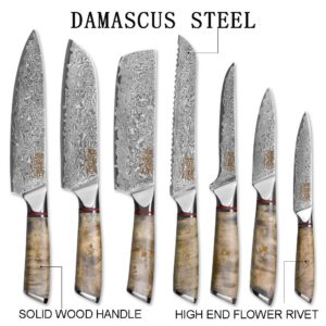 Kitchen Damascus Knife Set Japanese VG-10 Steel Knives Block Set Shadow Wood Handle for Chef Knife Set High Carbon Core Stainless Steel Full Tang Kitchen Knife Set with Block (8 Piece)