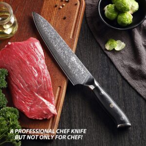 WROOC [NEW] Razor Sharp Chef Knife, 67 layers Damascus, 8 inch Kitchen knives with Military grade G10 Handle, Japanese steel super sharp, Superb Edge Retention, Stain & Corrosion Resistant