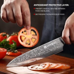 WROOC [NEW] Razor Sharp Chef Knife, 67 layers Damascus, 8 inch Kitchen knives with Military grade G10 Handle, Japanese steel super sharp, Superb Edge Retention, Stain & Corrosion Resistant