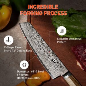 Damascus Chef Knife 8 inch Kiritsuke, Kitchen Utility Paring Knife 5 inch 67-Layer Damascus VG10 Steel Ultra Sharp Professional Kitchen Knife with Hexagon Natural Wood Handle