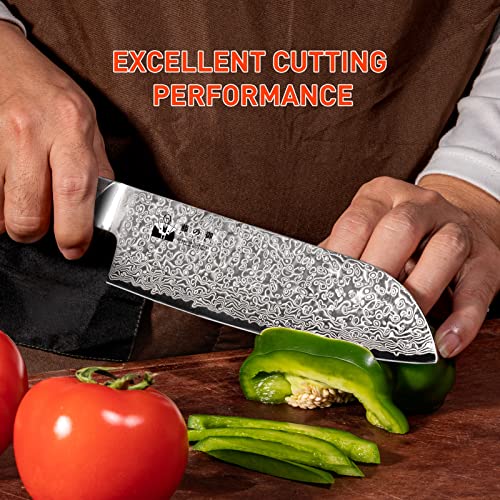 Santoku Knife 7-inch, Boning Knife 5.5 inch Damascus VG-10 Cutting Core 67-Layer Damascus Professional Kitchen Knife with Natural Wood Handle and Gift Box Best Chef’s Gift