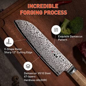 Santoku Knife 7-inch, Boning Knife 5.5 inch Damascus VG-10 Cutting Core 67-Layer Damascus Professional Kitchen Knife with Natural Wood Handle and Gift Box Best Chef’s Gift