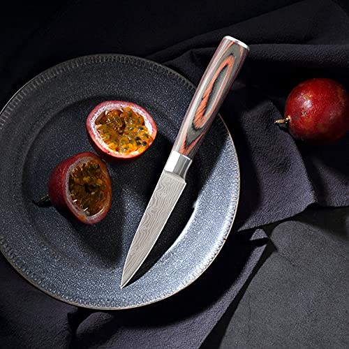 Jonbyi Paring Knife 3.5 inches, Small Knife - German High Carbon Stainless Steel Ultra Sharp Kitchen Fruit Knife for Chopping Vegetable Steak Peeling fruit, Pairing Knives with Sheath Cover