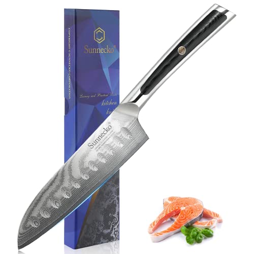 Sunnecko Kitchen Knife Japanese Damascus Santoku Knife 5 Inch,High Carbon Steel Cooking Knife Professional with G10 Handle