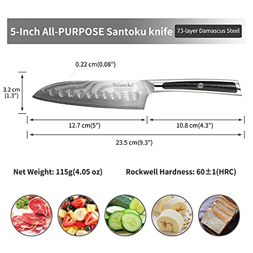 Sunnecko Kitchen Knife Japanese Damascus Santoku Knife 5 Inch,High Carbon Steel Cooking Knife Professional with G10 Handle