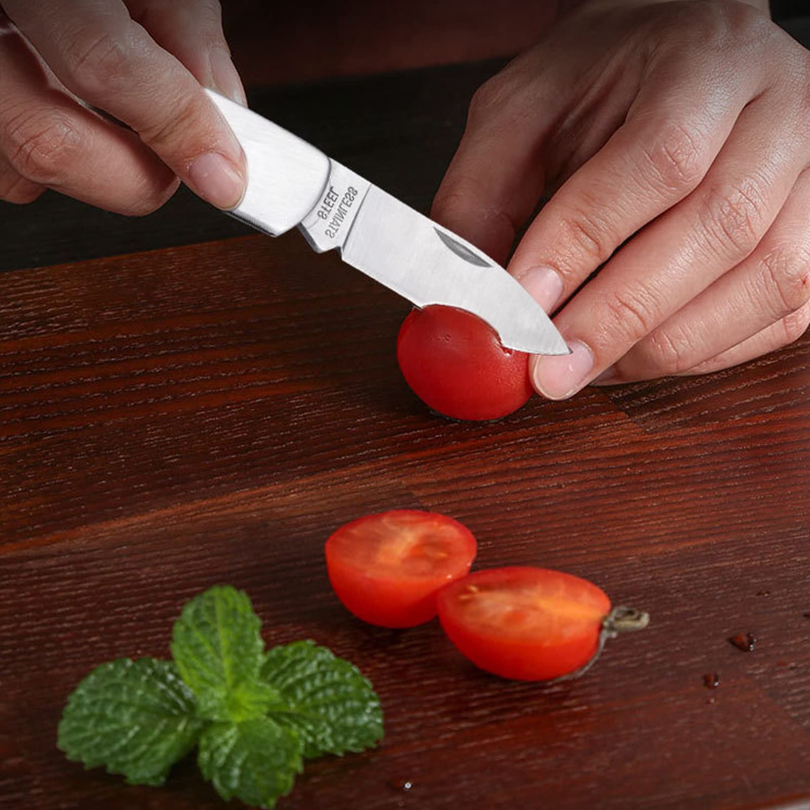 Kocpudu Paring Knife,all Steel Foldable Fruit Knife, All Steel Handle, Fruit Knife Small of Exquisite,small and Easy to Carry,suitable for Most Types of Vegetables and Fruits(3 Pieces)