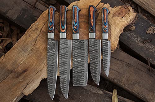 Custom Handmade Damascus Steel 5 pcs Professional Kitchen Chef Knife Set with 5 Pocket Case Chef Knife Roll Bag/Brown & Blue Dollar Sheath