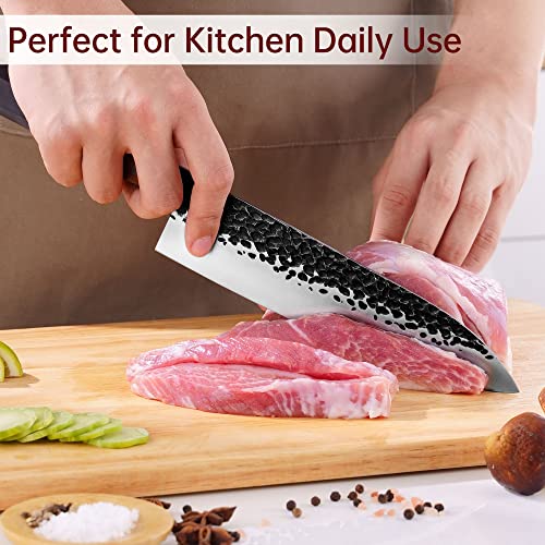 REDMOND Chef’s Knife Gyuto 8 inch Kitchen Knife 9CR18MoV Super Sharp Cooking Knife Sushi Knife with Ergonomic Handle, Gift Box