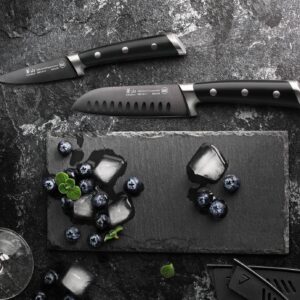 Cangshan S+ Series 1022094 German Steel Forged 2-Piece Titanium Coated Santoku Starter Knife Set with Sheaths, Noir Black