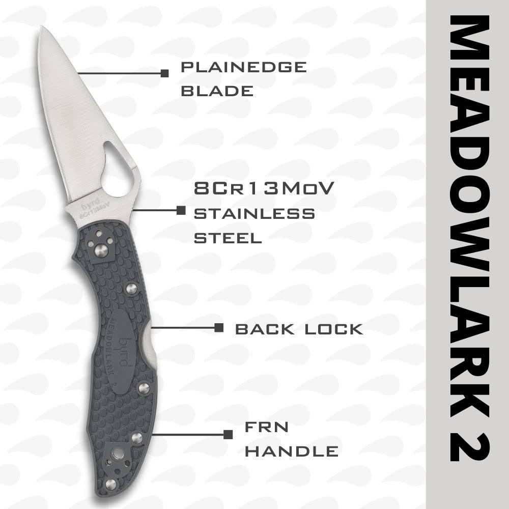 Spyderco Byrd Meadowlark 2 Lightweight Knife with 2.90" Stainless Steel Blade and Gray Non-Slip FRN Handle - PlainEdge - BY04PGY2