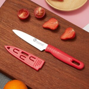 VSL VANSLENSON 4 Pieces Kitchen Knife Set Stainless Steel Blade, Paring knife for Fruit and Vegetable with Matching Covers Colorful Combo Lovely Pink Color Gift Set (4)