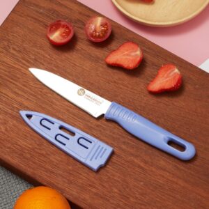 VSL VANSLENSON 4 Pieces Kitchen Knife Set Stainless Steel Blade, Paring knife for Fruit and Vegetable with Matching Covers Colorful Combo Lovely Pink Color Gift Set (4)