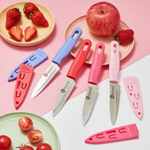 VSL VANSLENSON 4 Pieces Kitchen Knife Set Stainless Steel Blade, Paring knife for Fruit and Vegetable with Matching Covers Colorful Combo Lovely Pink Color Gift Set (4)