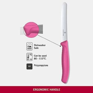 Victorinox Swiss Classic Round Tipped Stainless Steel Utility Knife with Pink Fibrox Handle, 4.5 Inch