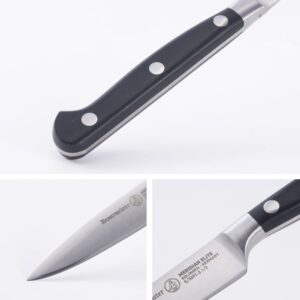 Messermeister Meridian Elite 3.5” Spear Point Paring Knife - Fine German Steel Alloy Blade - Rust Resistant & Easy to Maintain