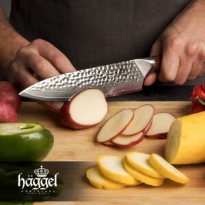 Haggel 8 Inch Damascus Chef Knife for All-Around Food Preparation Ultra-Sharp Professional Kitchen Knife Hand Hammered VG10 Stainless Steel Knife Best Gifts for Chefs