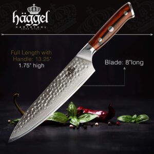 Haggel 8 Inch Damascus Chef Knife for All-Around Food Preparation Ultra-Sharp Professional Kitchen Knife Hand Hammered VG10 Stainless Steel Knife Best Gifts for Chefs