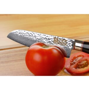 Sunlong Chef's Knives Santoku 5 inch Japanese Hammered Damascus Steel Natural Ebony Wood Handle