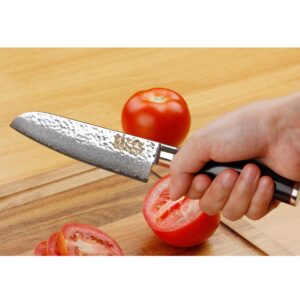 Sunlong Chef's Knives Santoku 5 inch Japanese Hammered Damascus Steel Natural Ebony Wood Handle