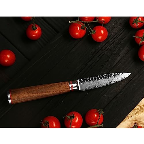 YOUSUNLONG Paring Knives 3.5 Inch - Japanese Hammered Damascus Steel Peeling Knife - Natural Walnut Wooden Handle