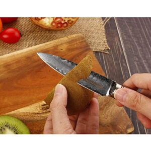 YOUSUNLONG Paring Knives 3.5 Inch - Japanese Hammered Damascus Steel Peeling Knife - Natural Walnut Wooden Handle